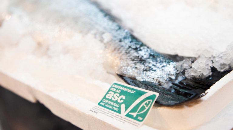 100% of Mowi Campbell River Farms Now Certified to ASC Salmon Standard ...