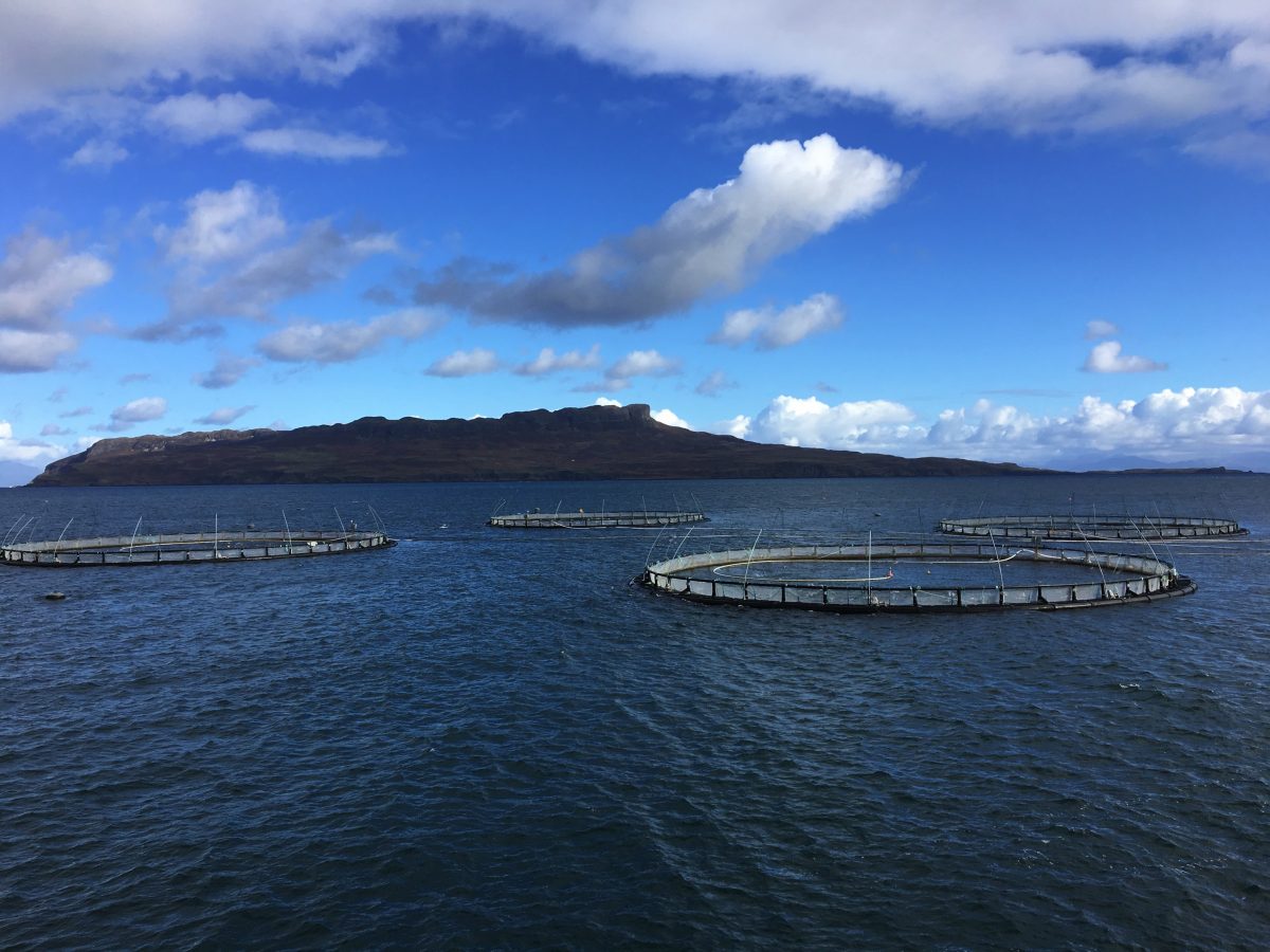 Mowi Scotland announces relocation plan for inshore farm sites - MOWI ...