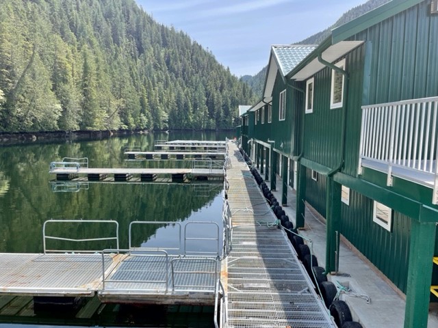 Investment at Klemtu - Mowi - Canada West